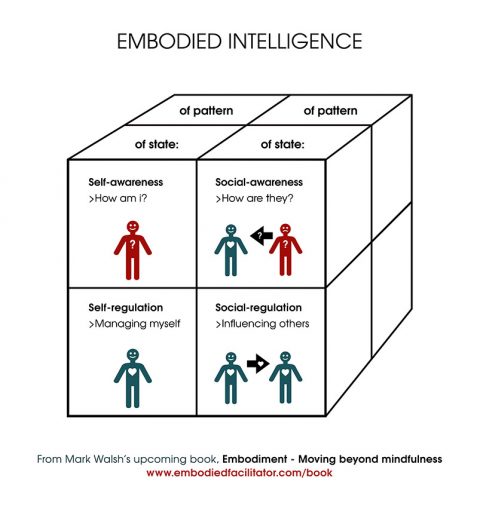 Illustrations | The Embodiment Book