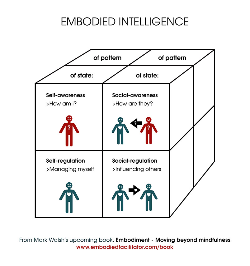 EFC—illustration-EI | The Embodiment Book