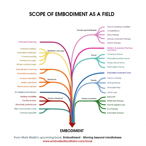 Illustrations | The Embodiment Book